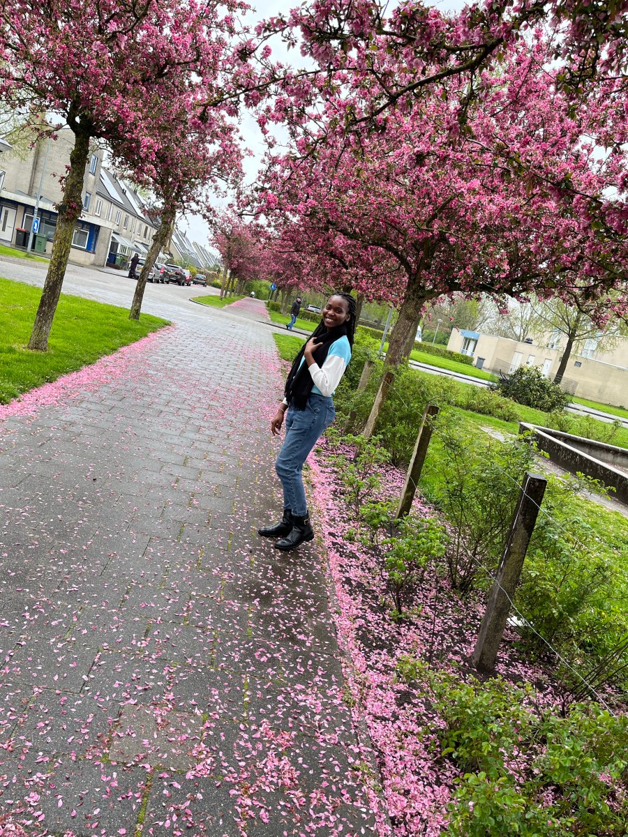 The Beauty of Spring – Time 🌸 – HERRY CHIC COUNSELS